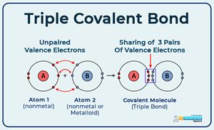 Introduction to Atoms - The Engineering Projects