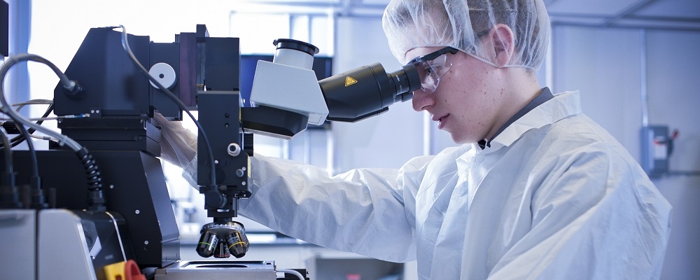 Biomedical engineering: career tips & education information - The ...