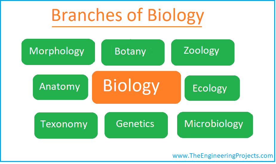 What Is Biology Definition Branches Books And Scientists The